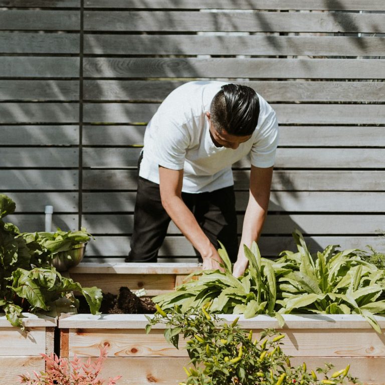 Thunderbird Treatment Center